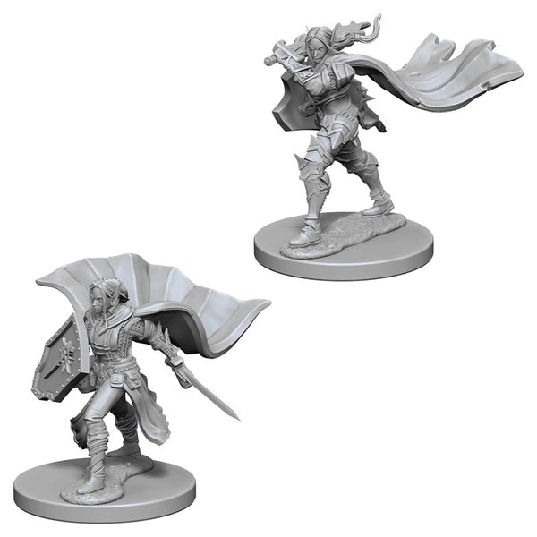 Pathfinder Deep Cuts Unpainted Miniatures: Elf Female Paladin – Magic ...