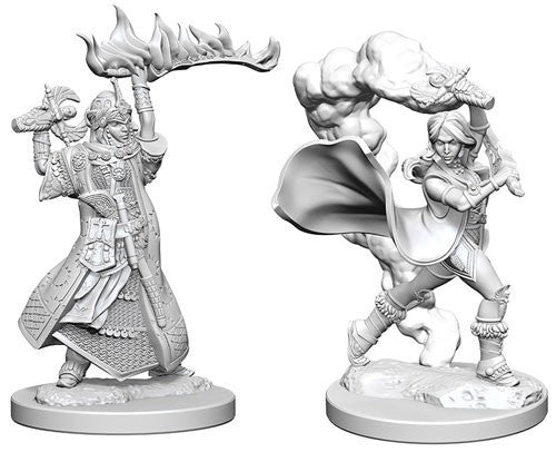 Pathfinder Deep Cuts Unpainted Miniatures: Human Female Cleric – Magic ...