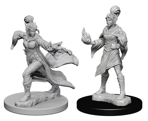 Pathfinder Deep Cuts Unpainted Miniatures: Elf Female Sorcerer – Magic ...